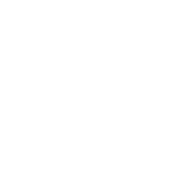 Executive Resume Writing Services | Arielle Executive